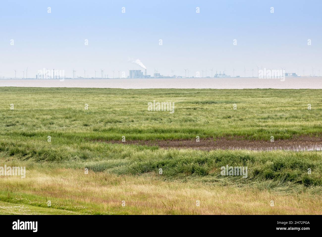 Flat salt marshes and the North Sea of North Germany Stock Photo - Alamy