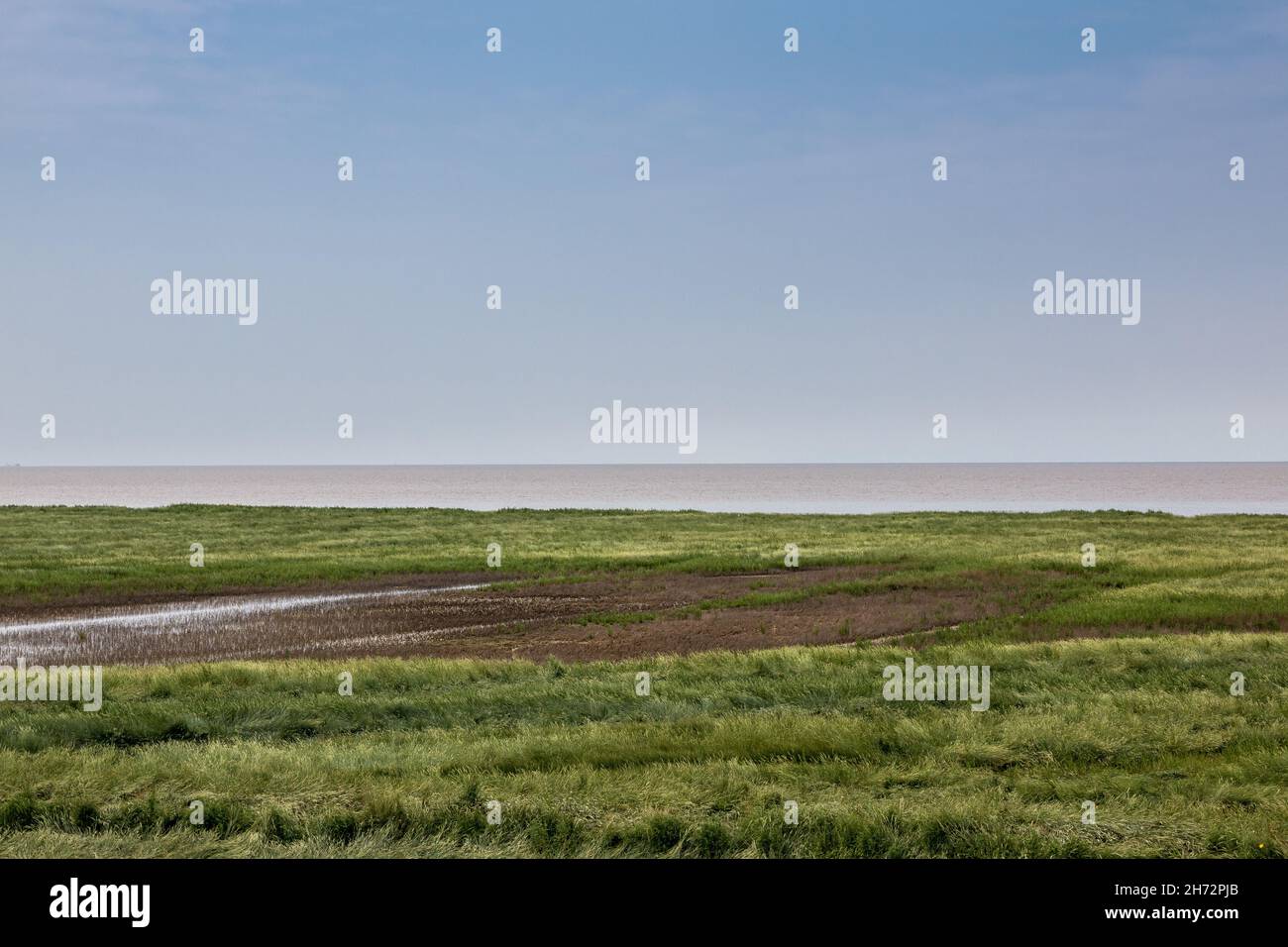Flat salt marshes and the North Sea of North Germany Stock Photo - Alamy
