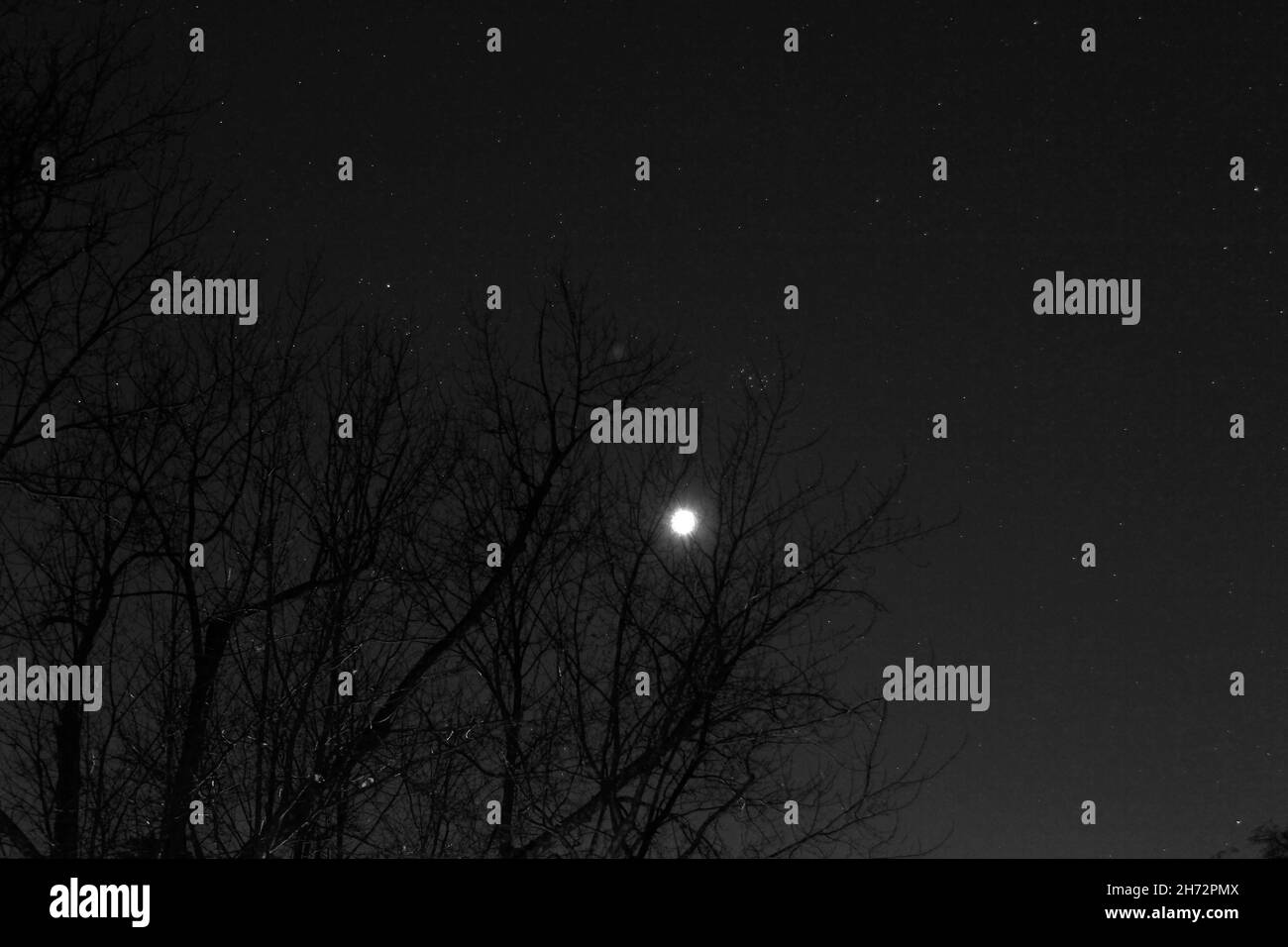 Partial Lunar Eclipse of November 19, 2021 Stock Photo - Alamy