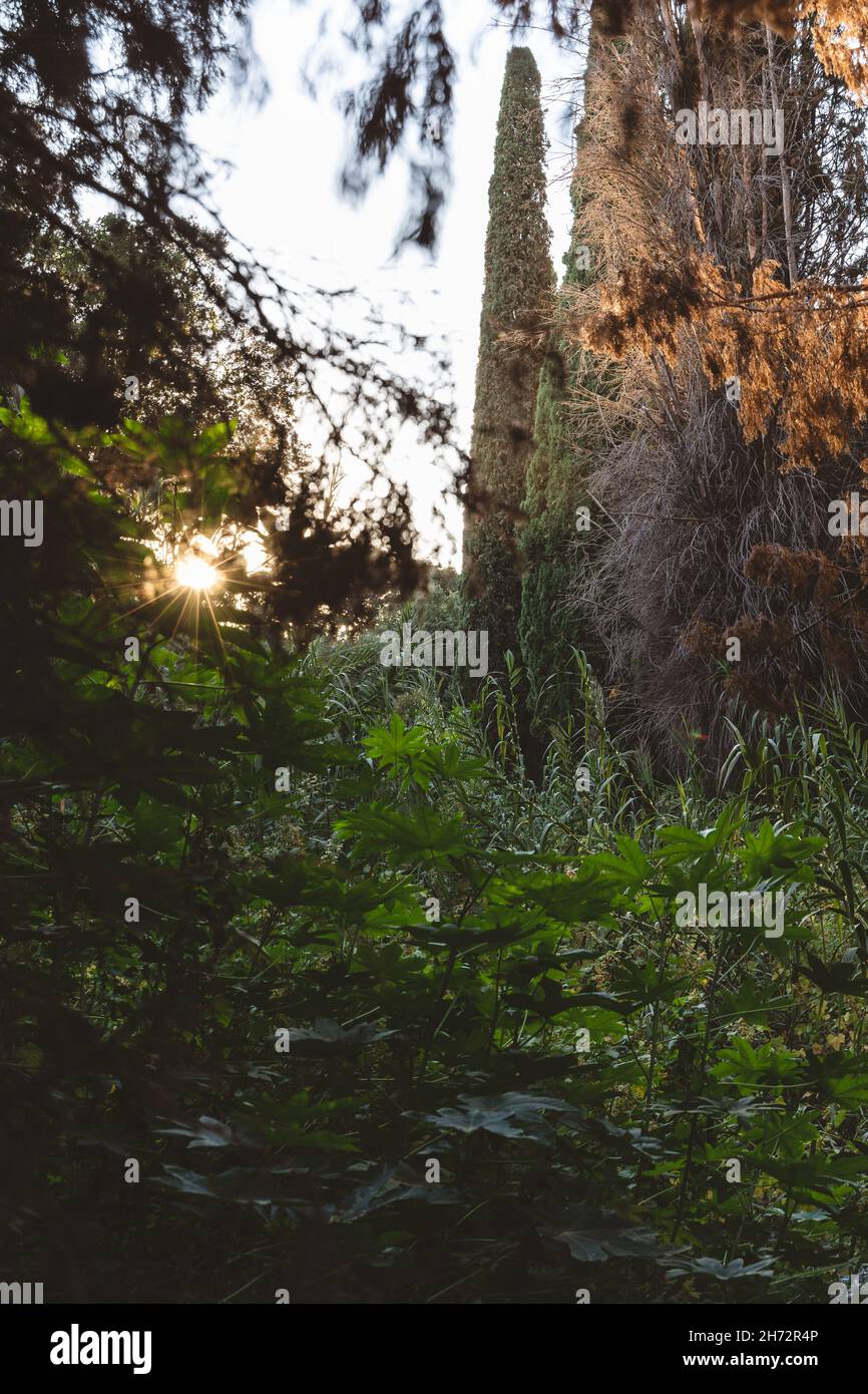 Rhodes rodini park hi-res stock photography and images - Alamy