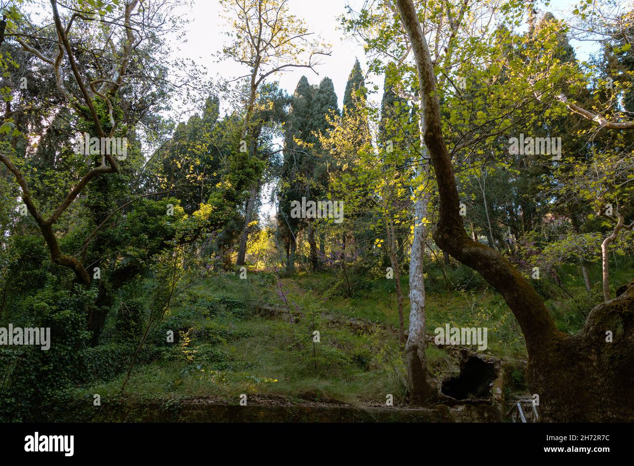 Beautiful shot in the Rhodes Rodini Park in Greece Stock Photo - Alamy