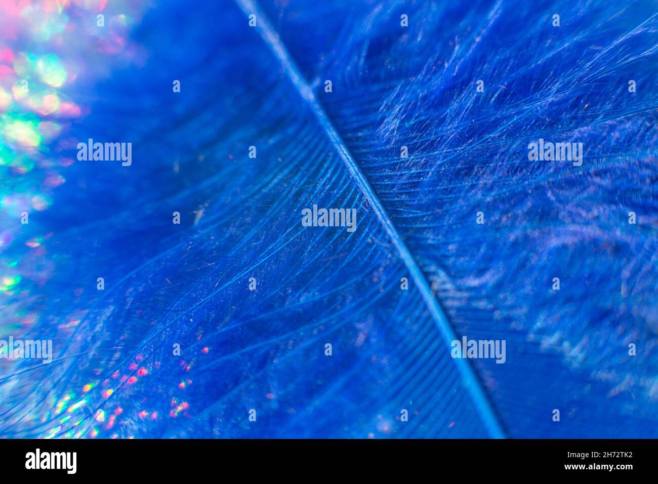 Plume texture hi-res stock photography and images - Alamy