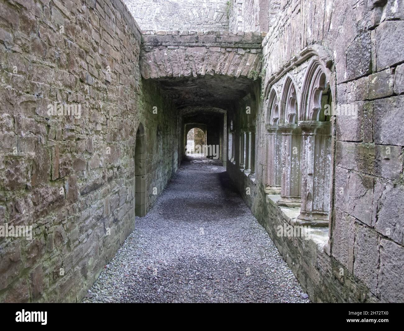 Bective abbey ireland hi-res stock photography and images - Alamy