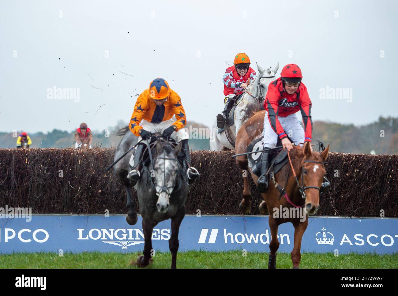 Horse de lady in red hi-res stock photography and images - Alamy