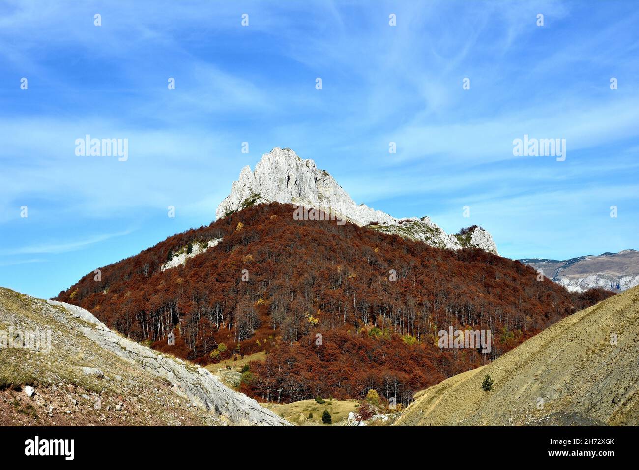 Eerie scenery of a mountain with thick autumn woods in daylight Stock ...