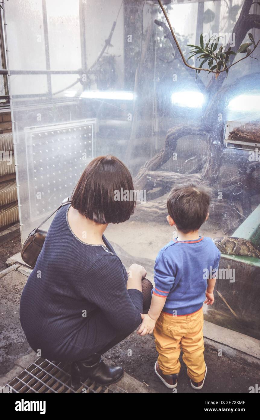 Snake behind glass hi-res stock photography and images - Alamy