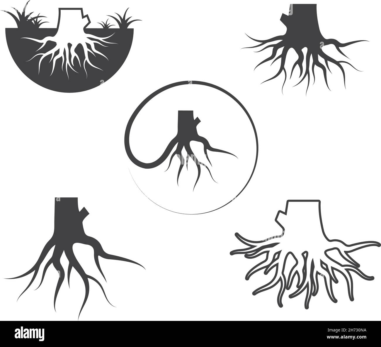 Tree root underground illustration Stock Vector Images - Alamy