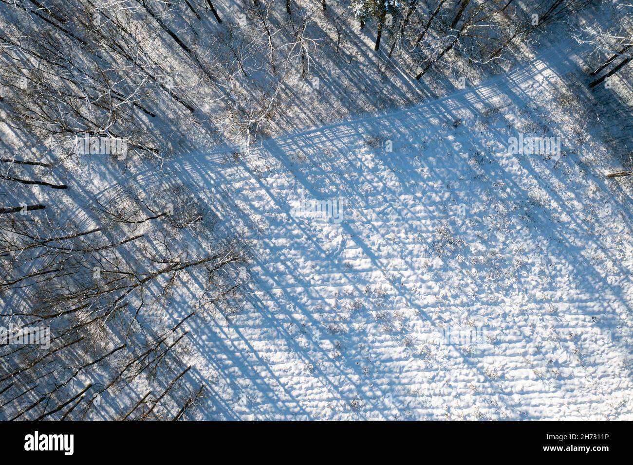 Aerial top down landscape of winter forest Stock Photo - Alamy