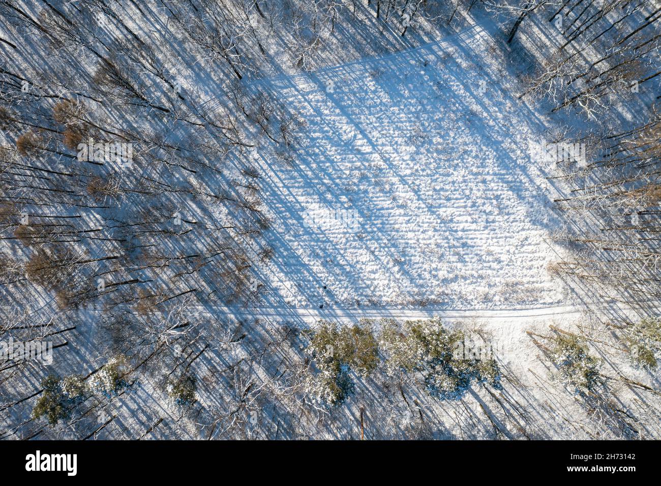Top down forest hi-res stock photography and images - Alamy