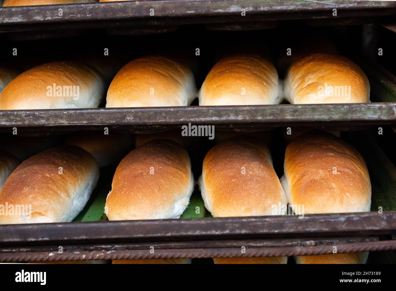 Freshly made bread in bakery trays in view Stock Photo - Alamy