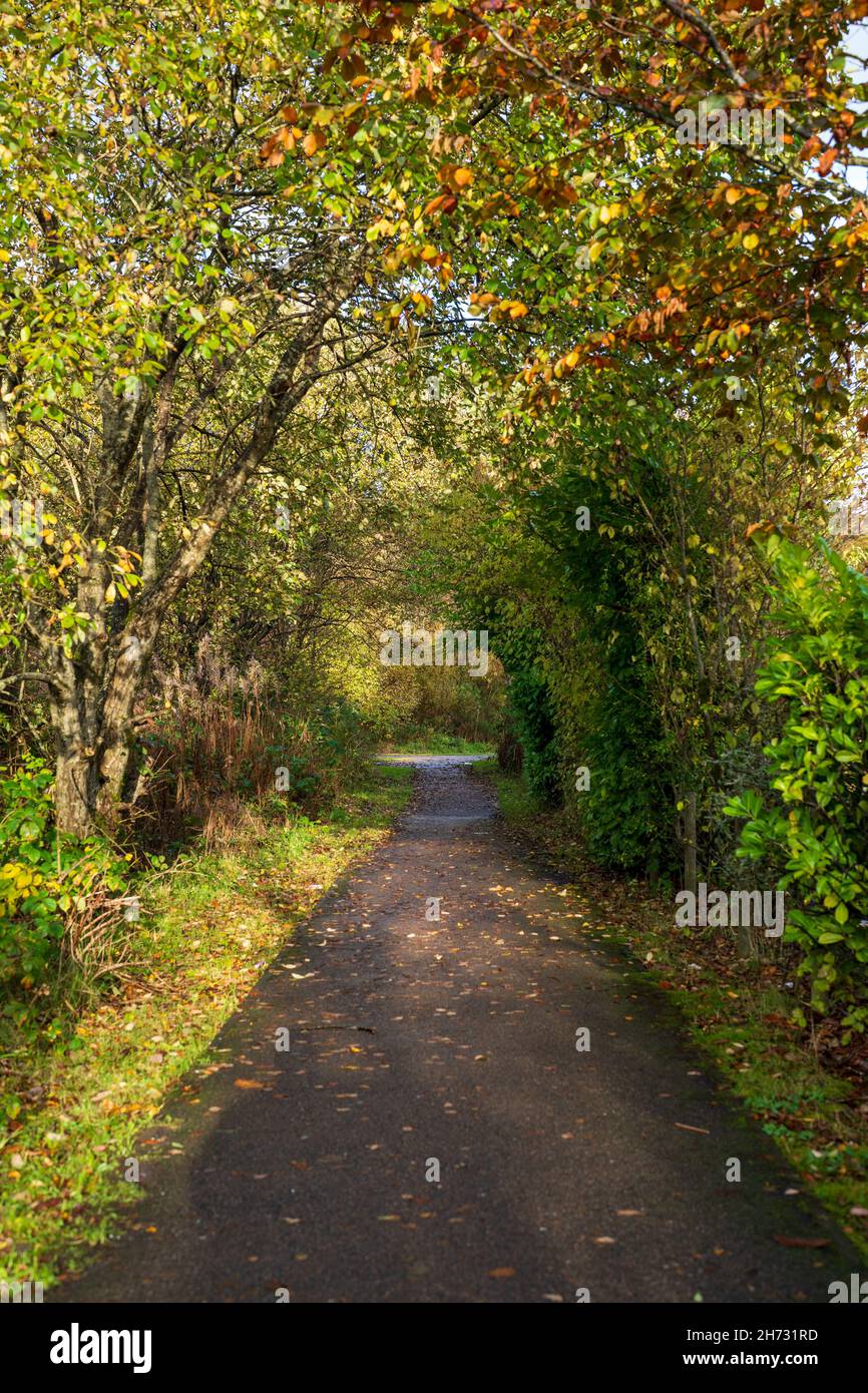 Corpach and Ben Nevis, Fort William, Highland, Scotland, UK Stock Photo ...