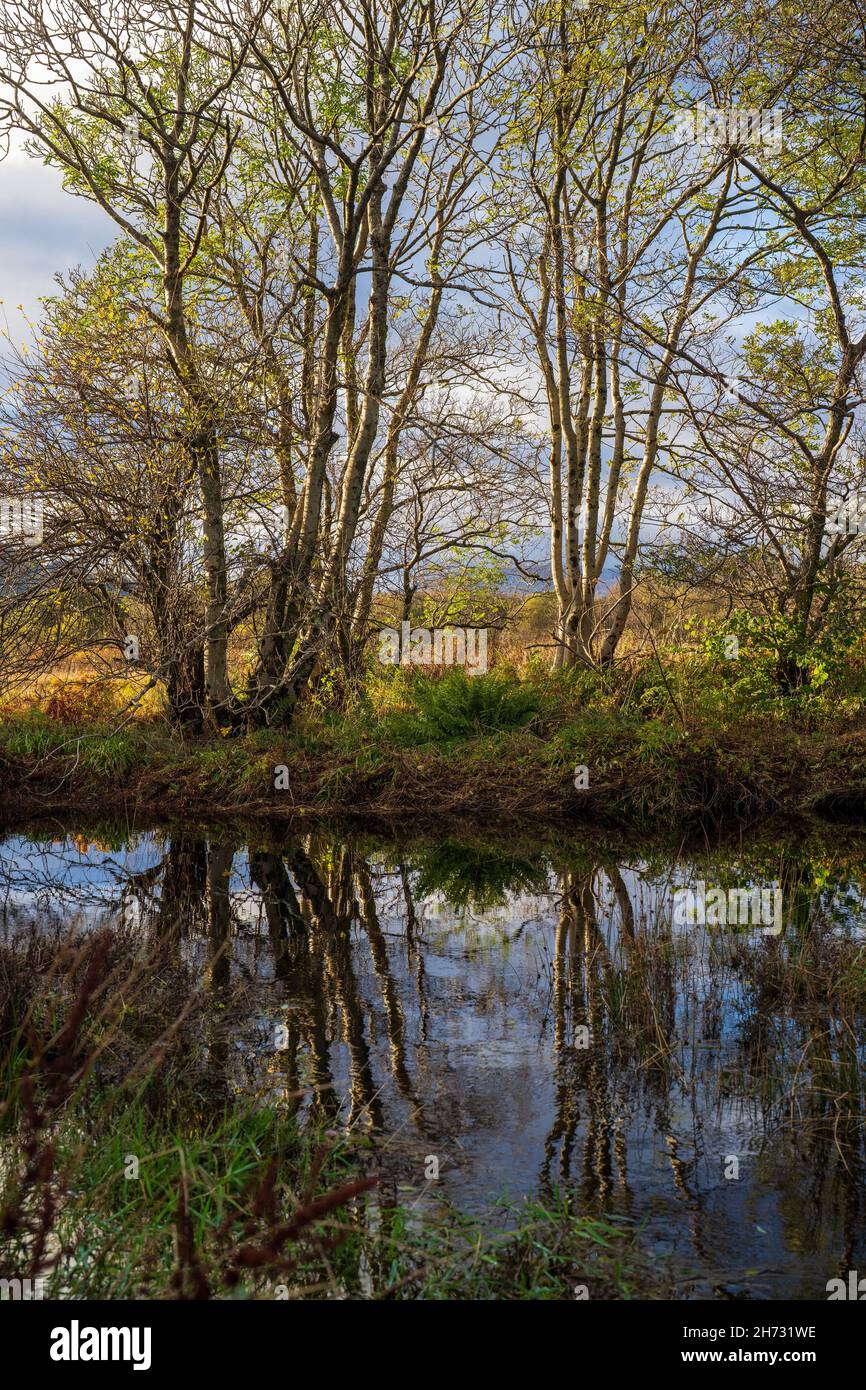 Corpach and Ben Nevis, Fort William, Highland, Scotland, UK Stock Photo ...