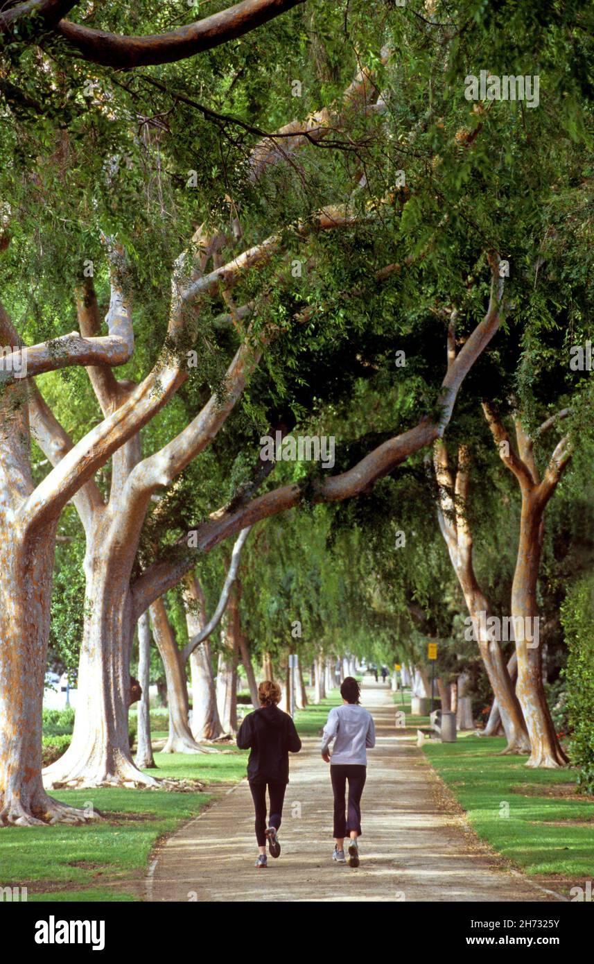 Joggers running in public park along Santa Monica Blvd. in Beverly ...