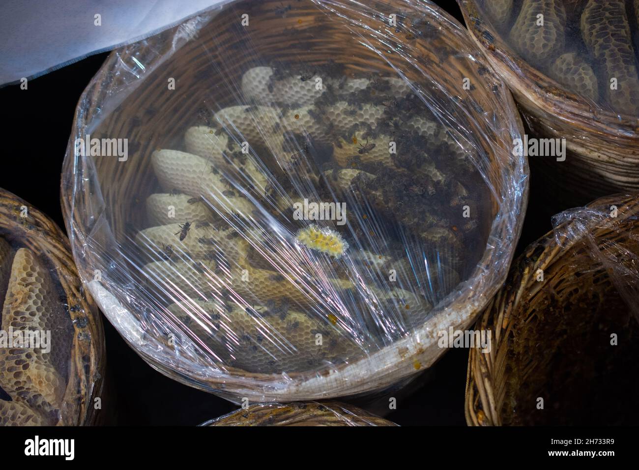 Honey in honeycomb from round beehive with sweet honey Stock Photo - Alamy