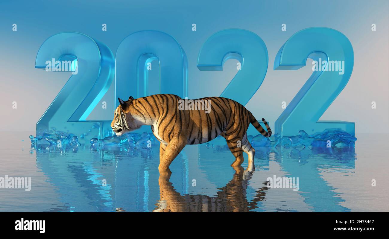Tiger In Water 2022