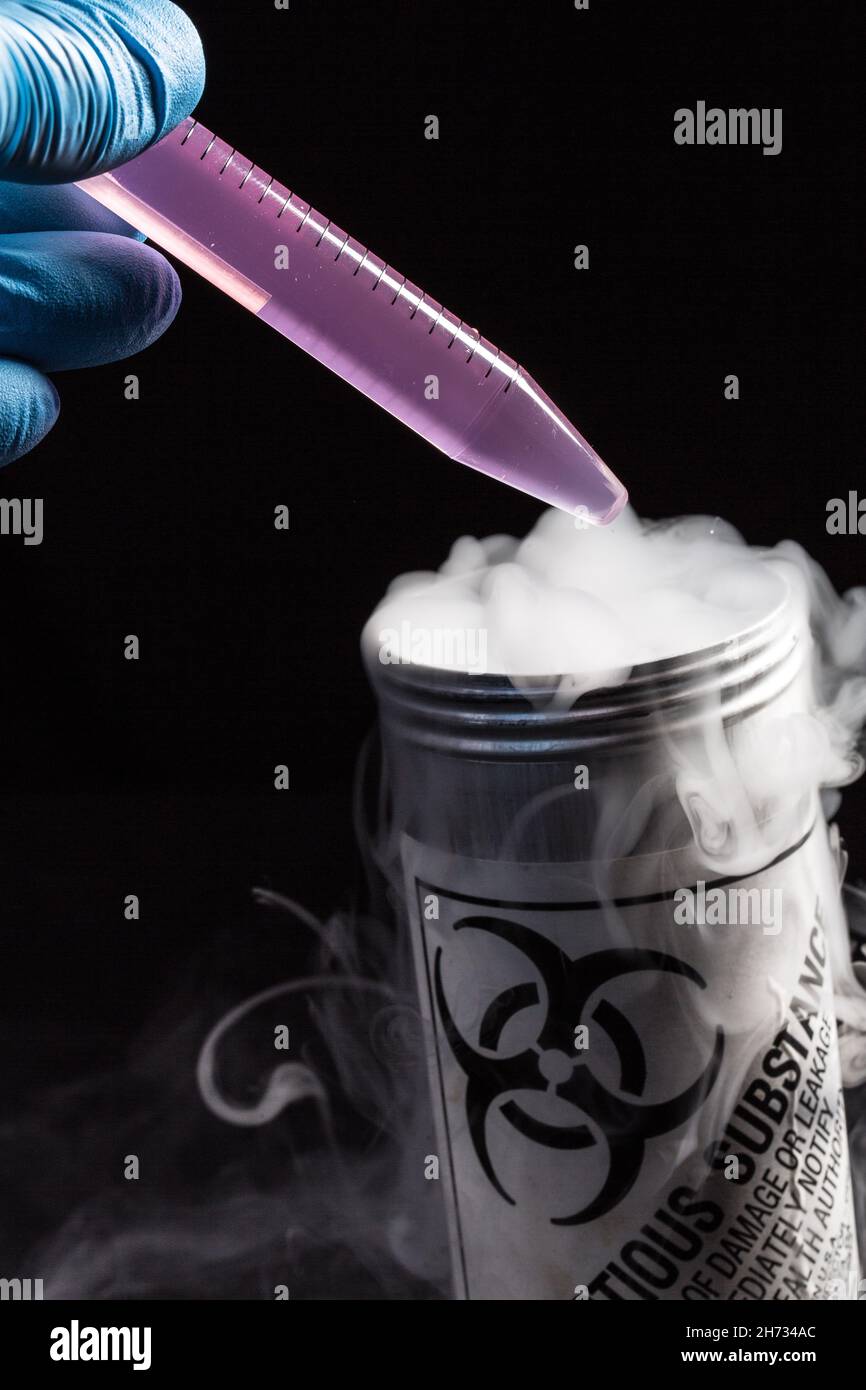 Laboratory liquid nitrogen test tube hi-res stock photography and ...