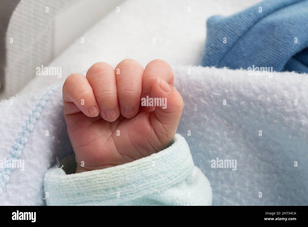 Premature baby hands hi-res stock photography and images - Alamy