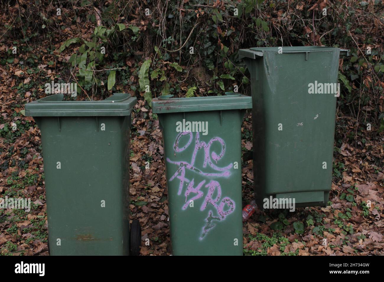 Old green garbage containers hi-res stock photography and images - Alamy