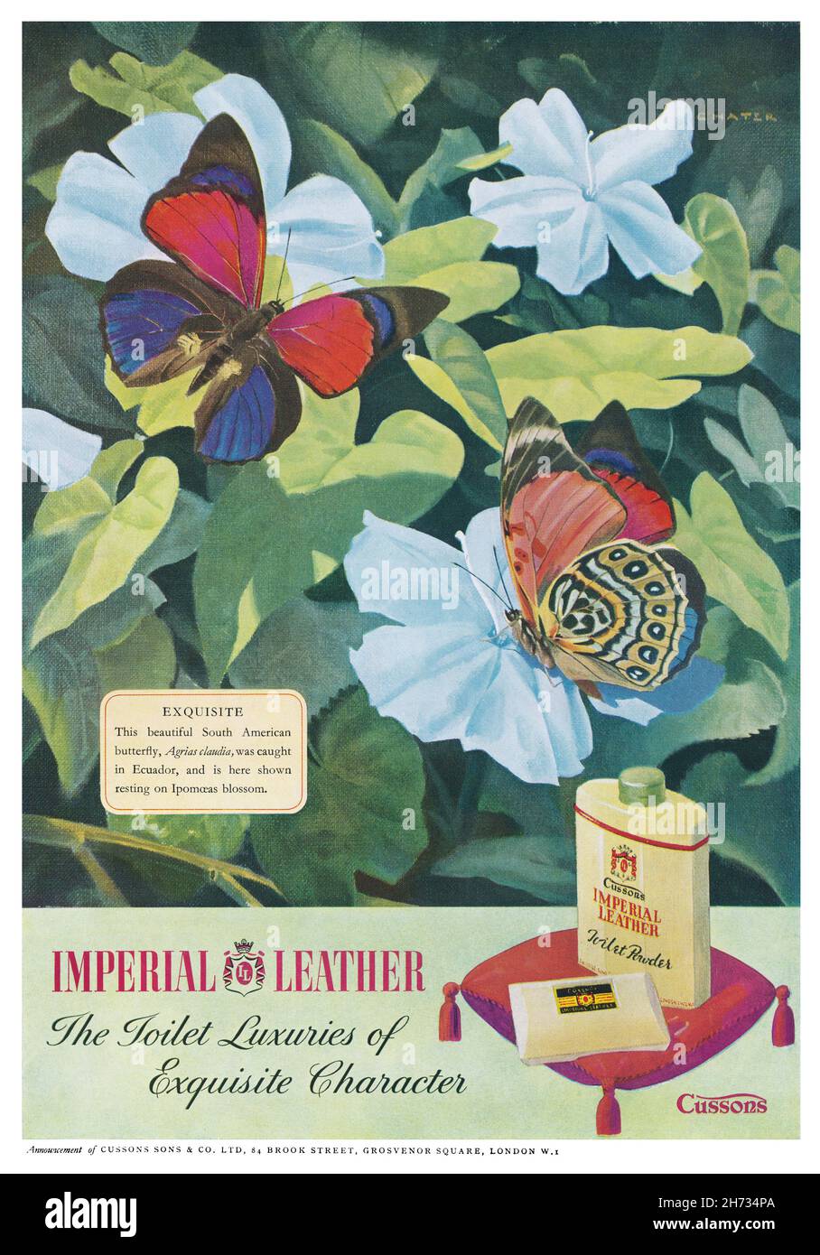1951 British advertisement for Cussons Imperial Leather soap and talcum ...