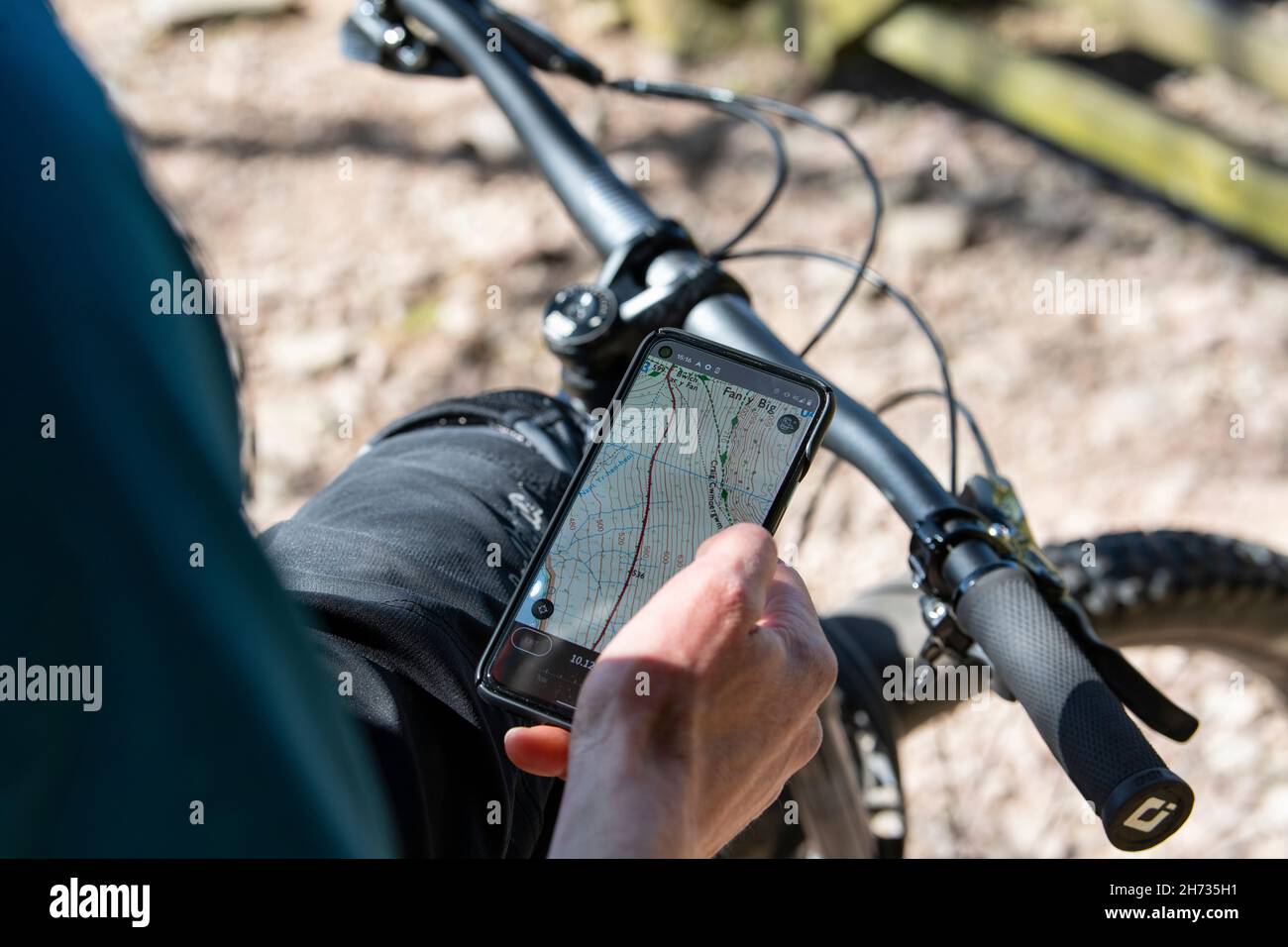 A cyclist riding a mountain bike checks a map on a smart phone in the ...