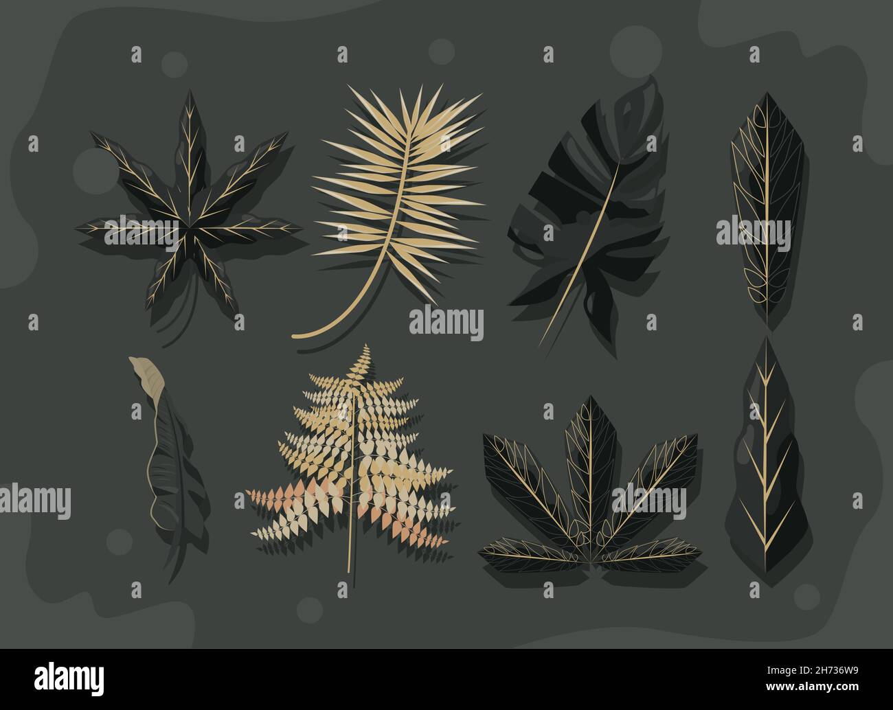 eight tropical leafs Stock Vector Image & Art - Alamy