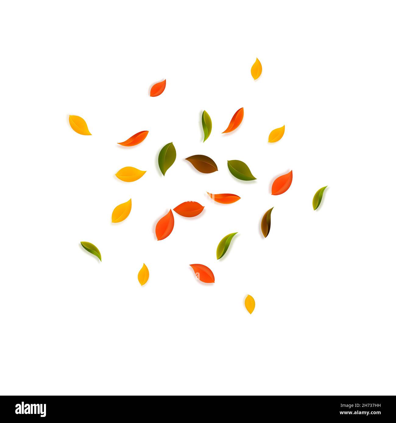 Sal Tree Stock Vector Images Alamy