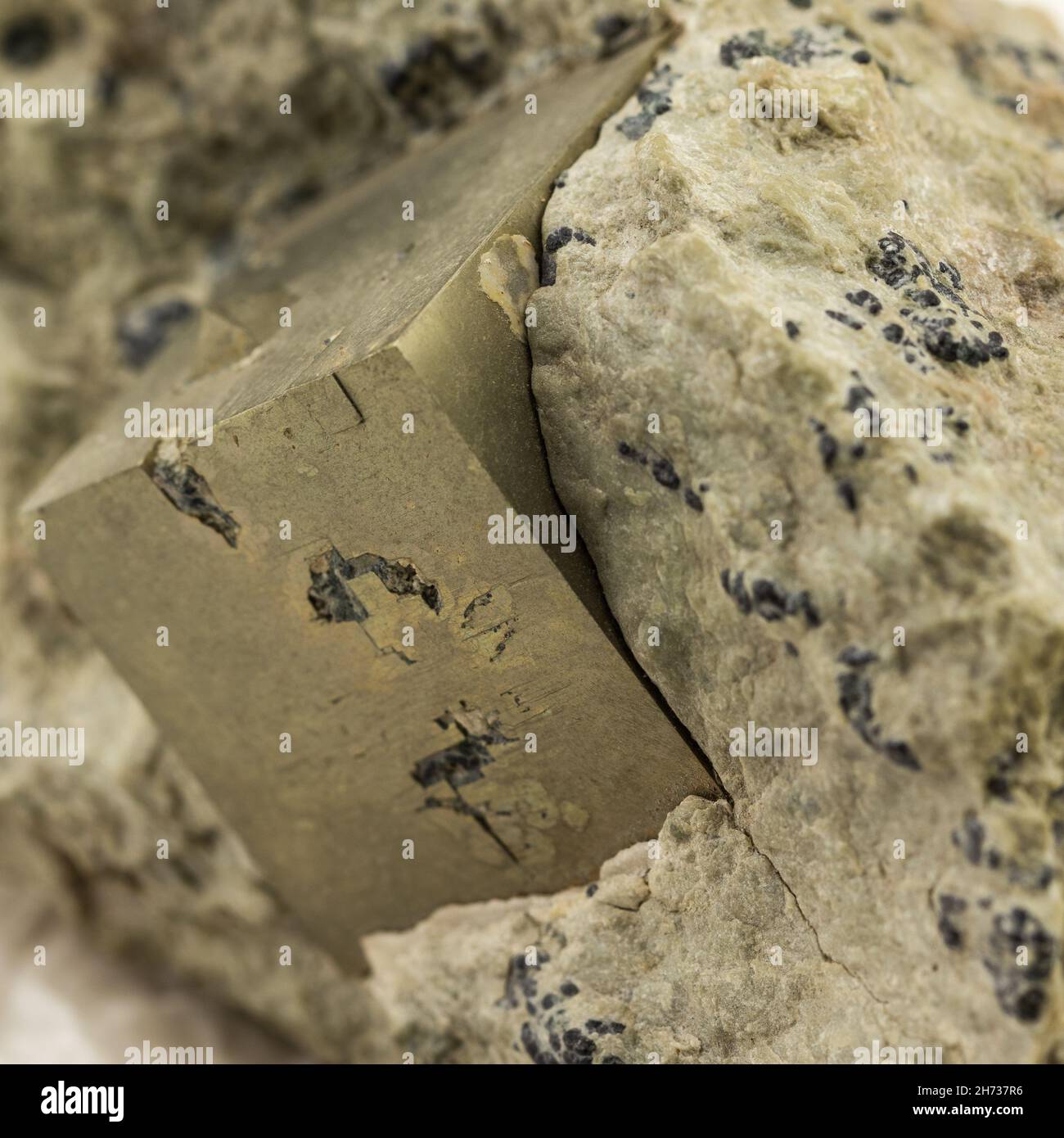 macro image of a collecting mineral sample Stock Photo - Alamy