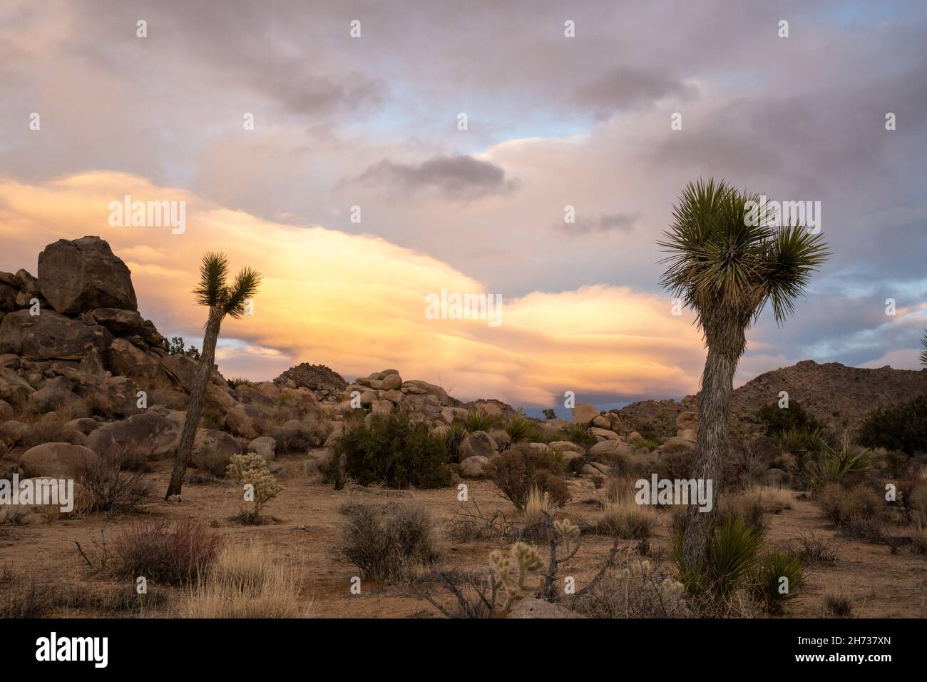 Lenticular clouds rocky mountains hi-res stock photography and images ...