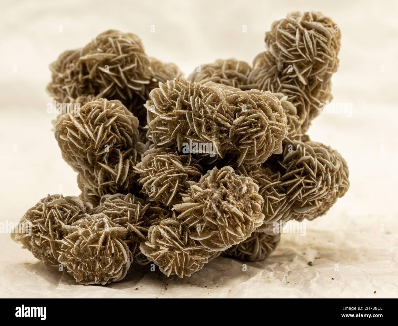 macro image of a collecting mineral sample Stock Photo - Alamy
