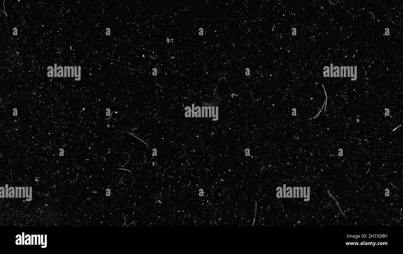 Organic floating dust motes in hi-res stock photography and images - Alamy