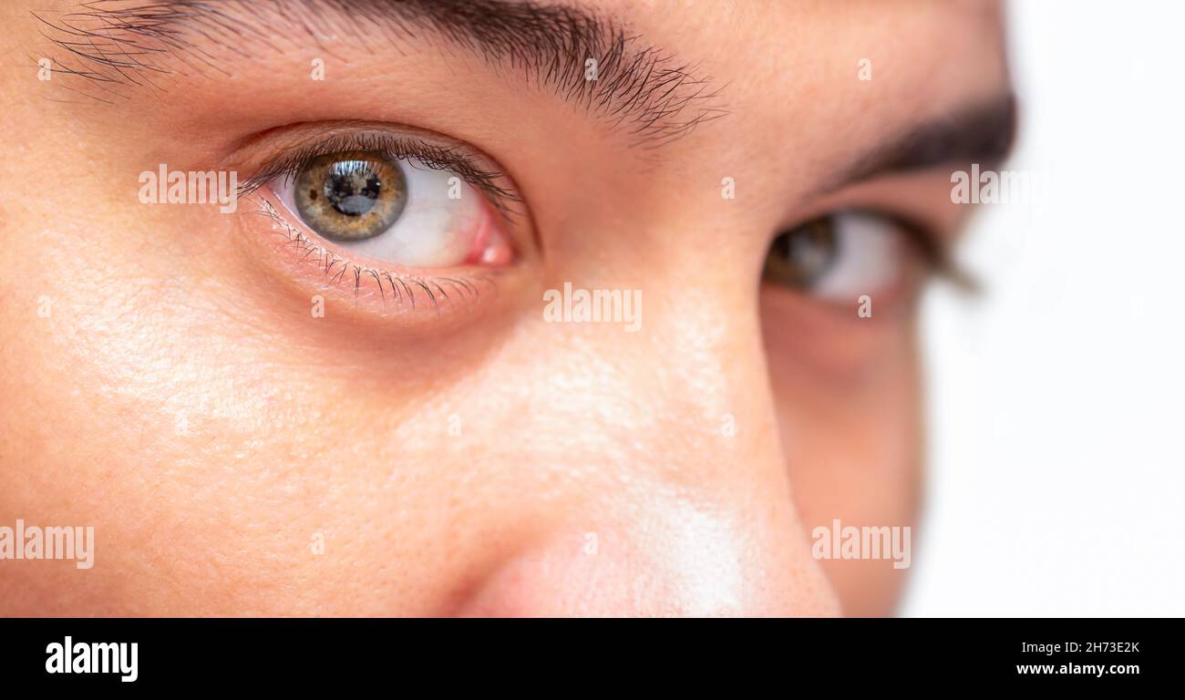 Male eyes close-up isolated on white background Stock Photo - Alamy