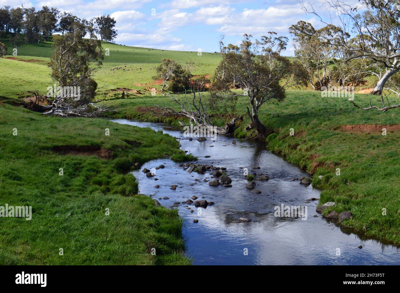 Countryside on the Waterfall Way in NSW, Australia Stock Photo - Alamy