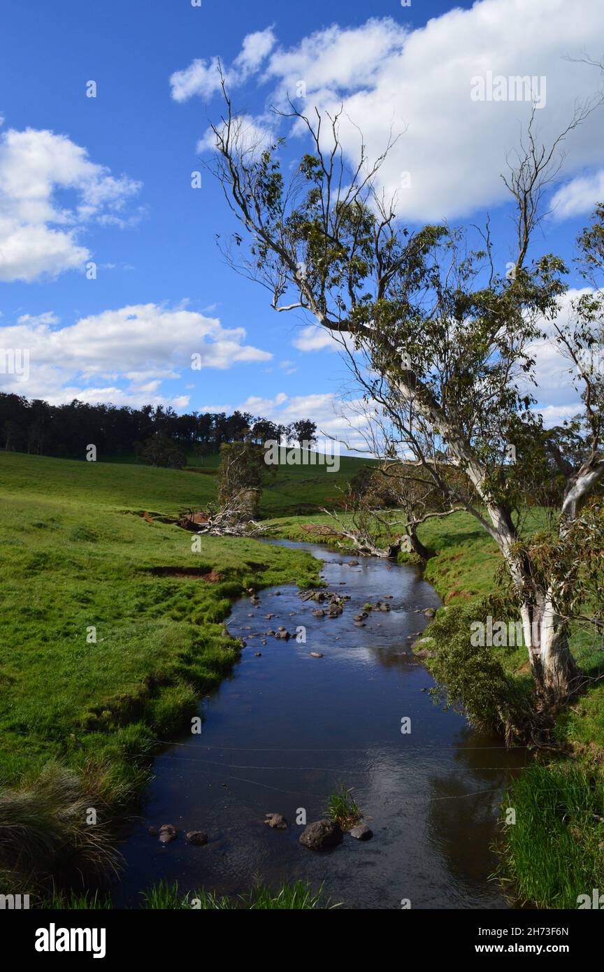 Countryside on the Waterfall Way in NSW, Australia Stock Photo - Alamy