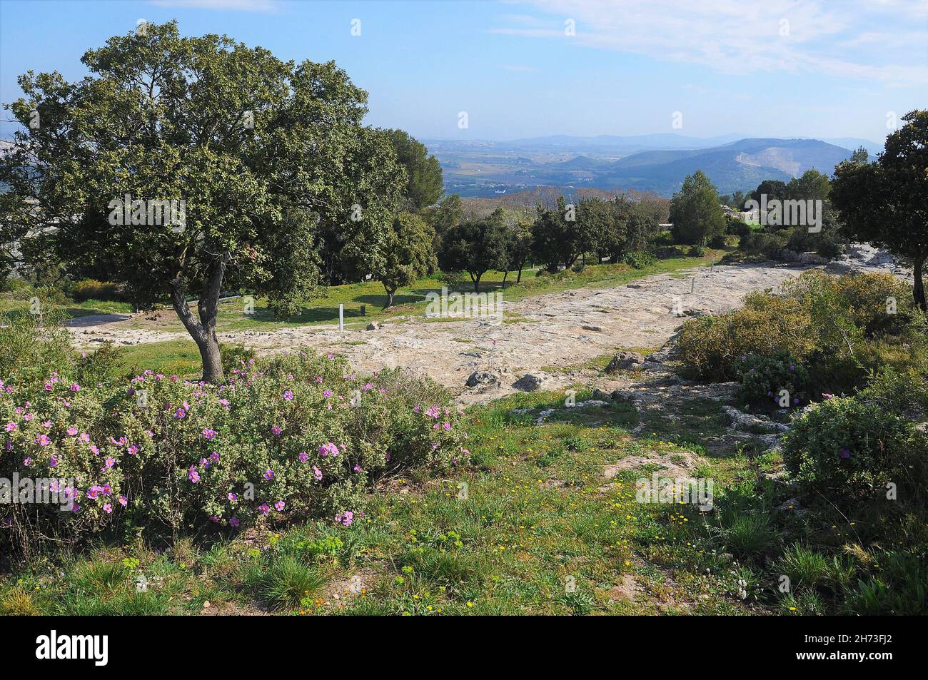 Roman quarry of the Museum of Archeology of Catalonia located in ...