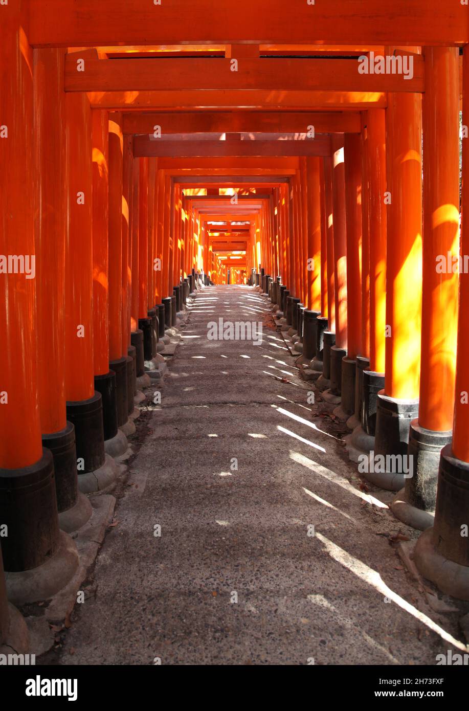 Orange torii gate hi-res stock photography and images - Alamy