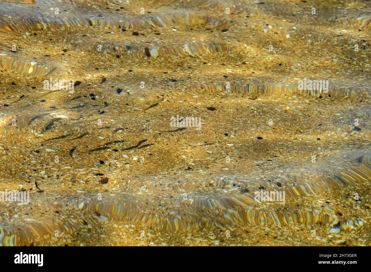 Pacific Ocean transparent ocean water texture Stock Photo - Alamy