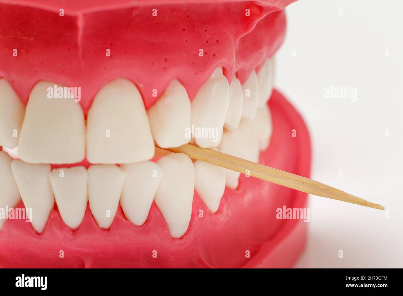 Layout of the human jaw with a toothpick between teeth Stock Photo - Alamy