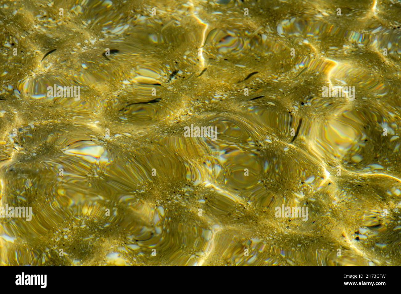 Pacific Ocean transparent ocean water texture Stock Photo - Alamy