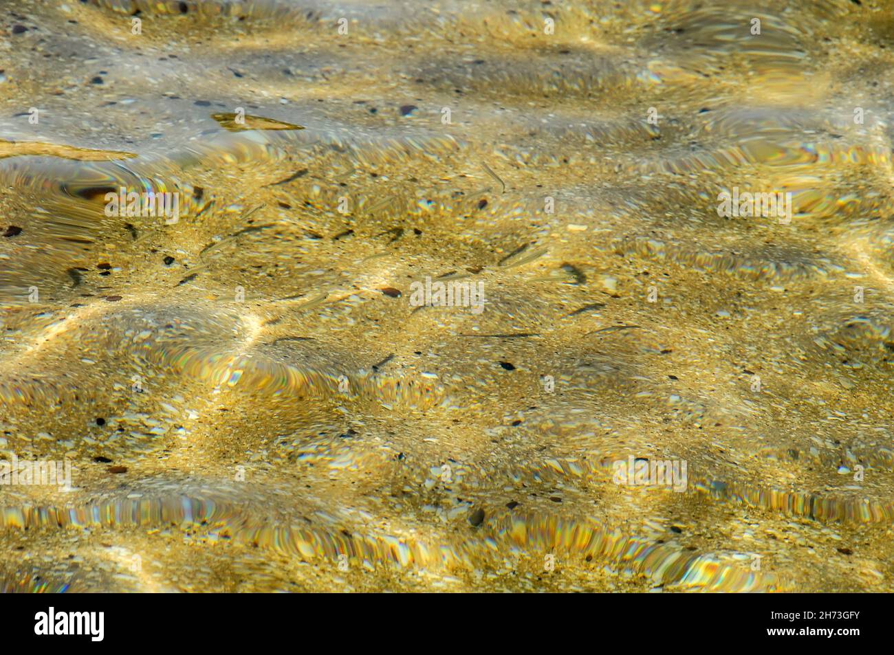 Pacific Ocean transparent ocean water texture Stock Photo - Alamy