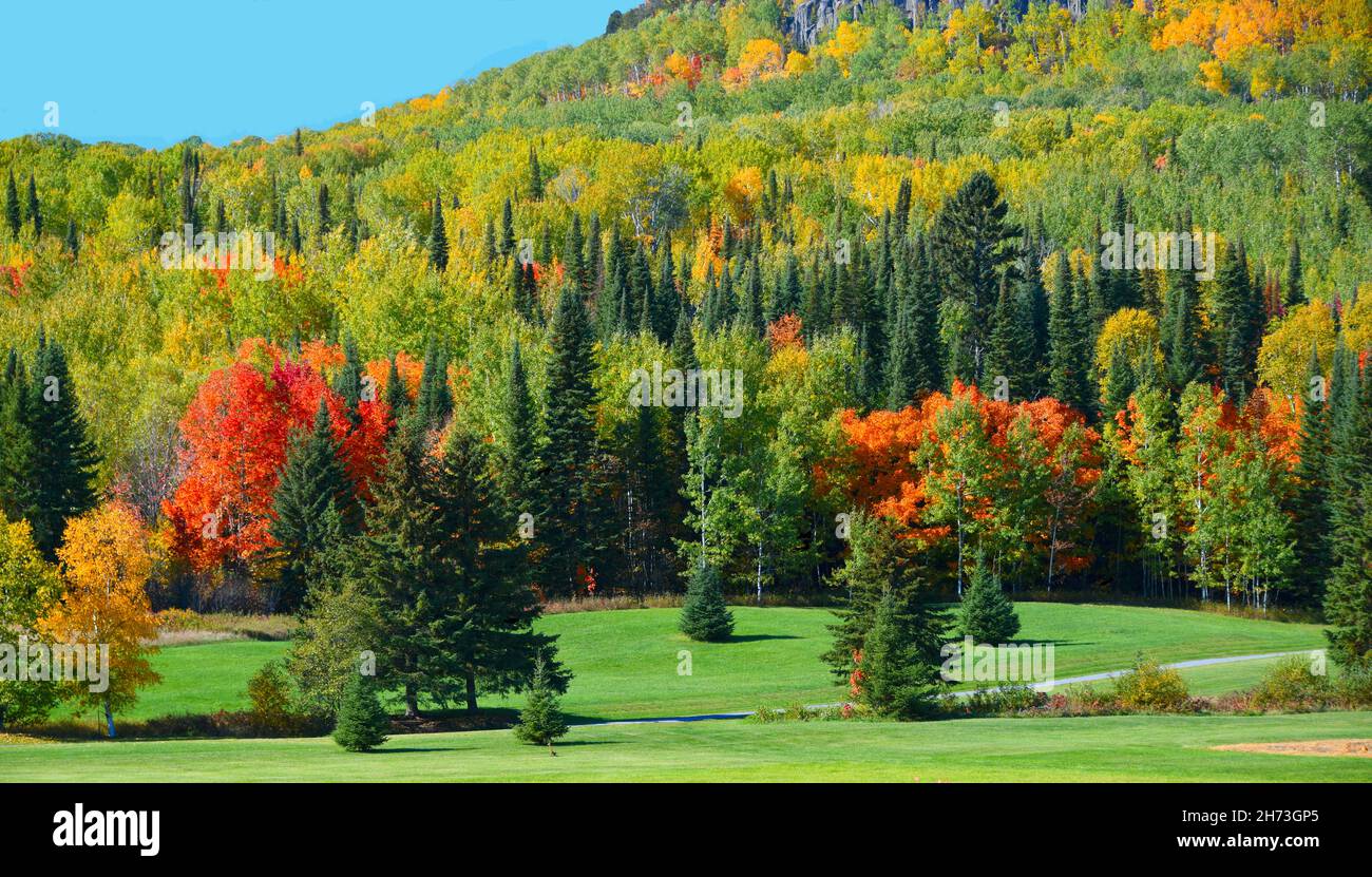 A mixed forest beginning to change colors in the autumn season, on both ...