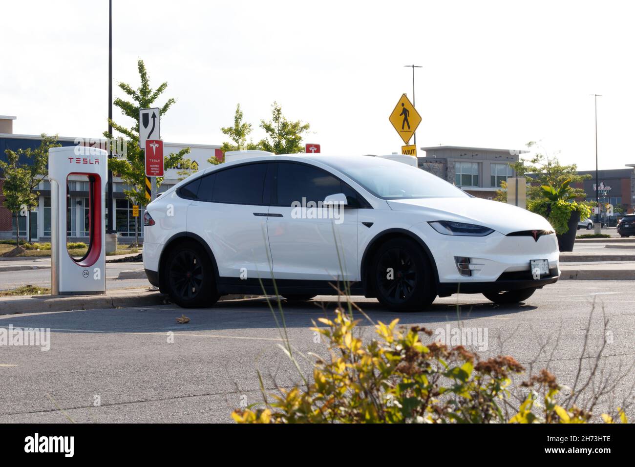 Tesla Model X White
