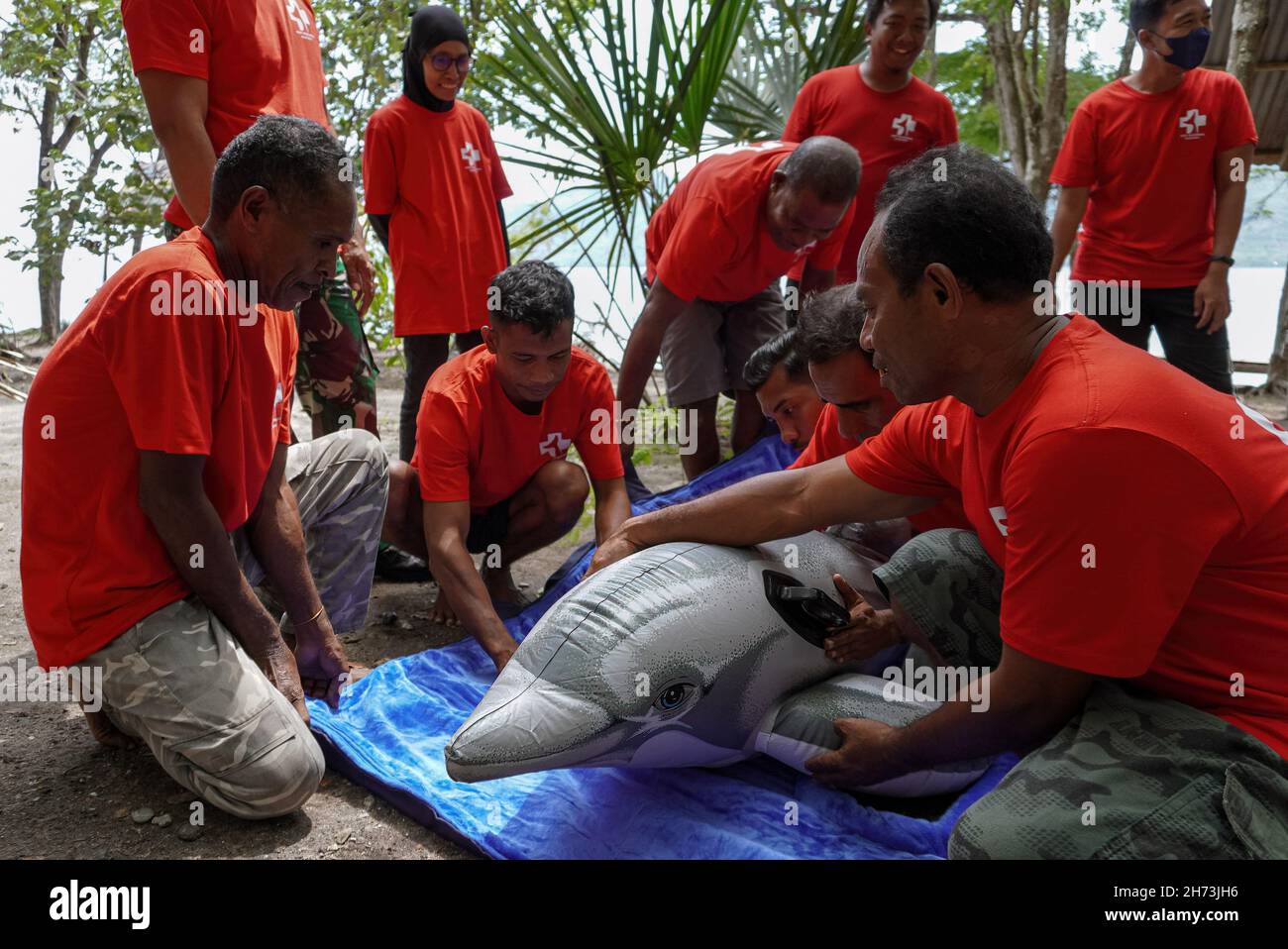 Volunteers practice the technique of handling a stranded marine mammal ...