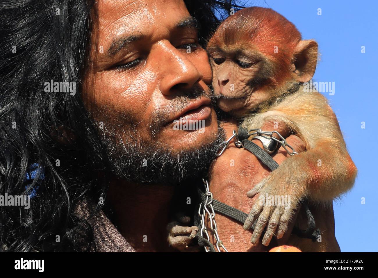 Alam a resident playing with his pet monkey, Raja in Chittagong hill ...