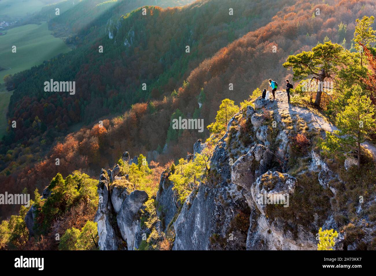 Sulovske skaly (Sulov Rocks): viewpoint at Sulov Rocks, rock, forest ...