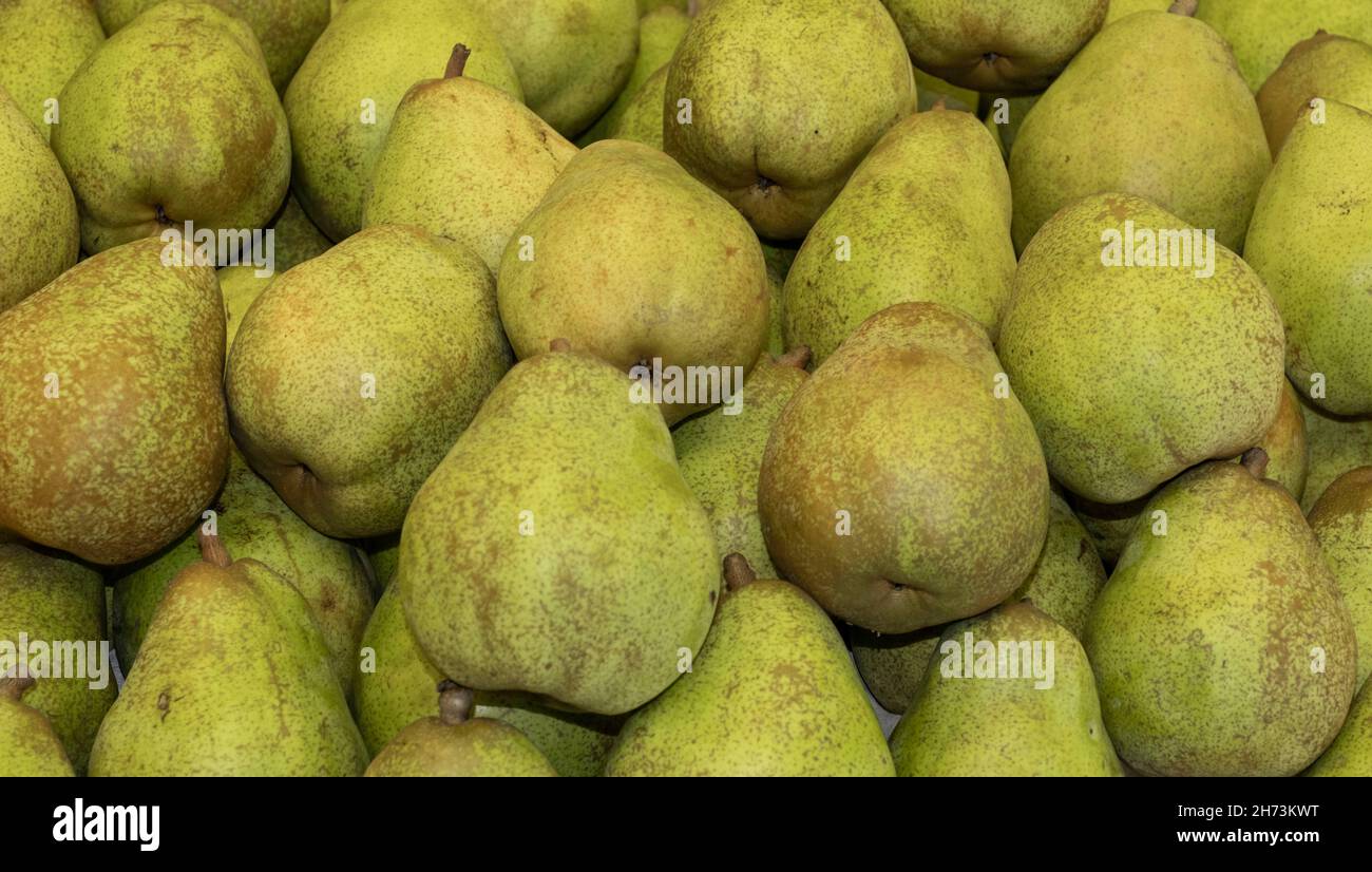 Background of green dutch Pears in greenhouse or market Stock Photo - Alamy