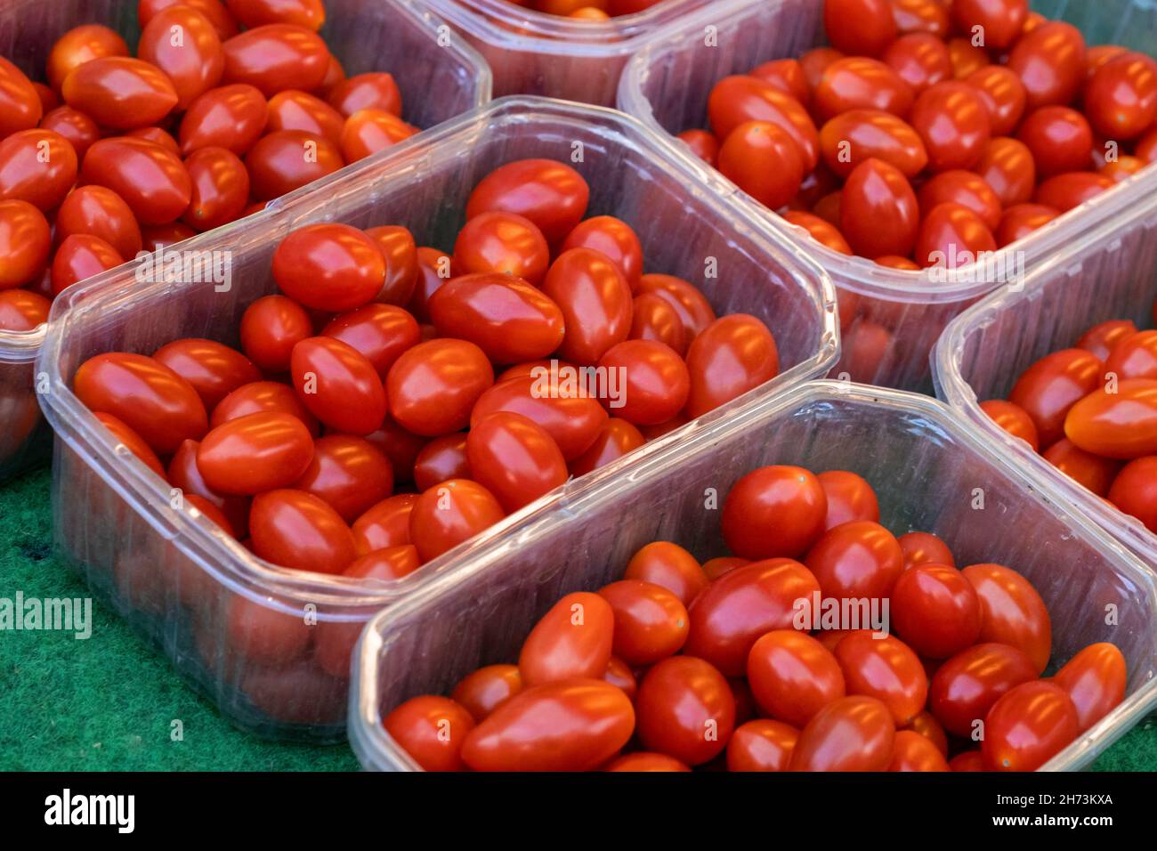 Background a lot of dutch red tomatos cherry in greenhouse or market ...