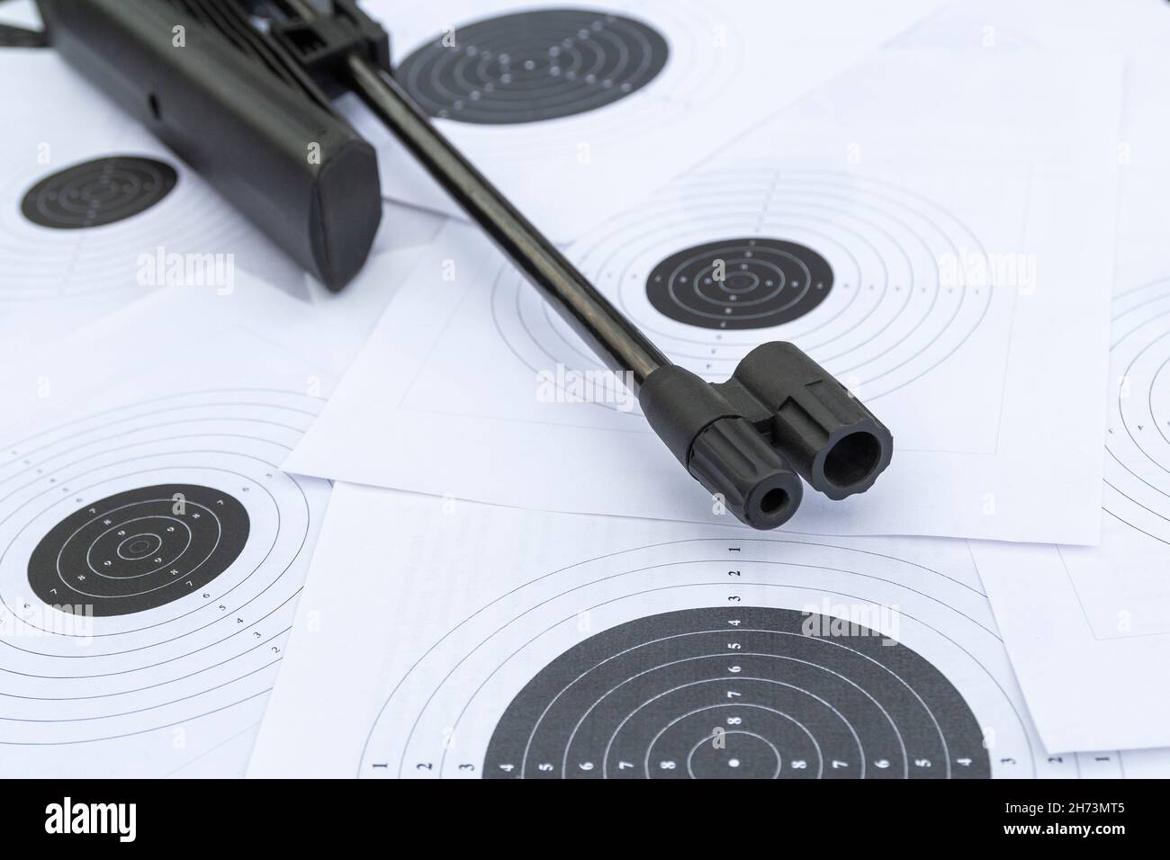 Paper target and lead shot for pneumatic weapons. Shooting accessories ...
