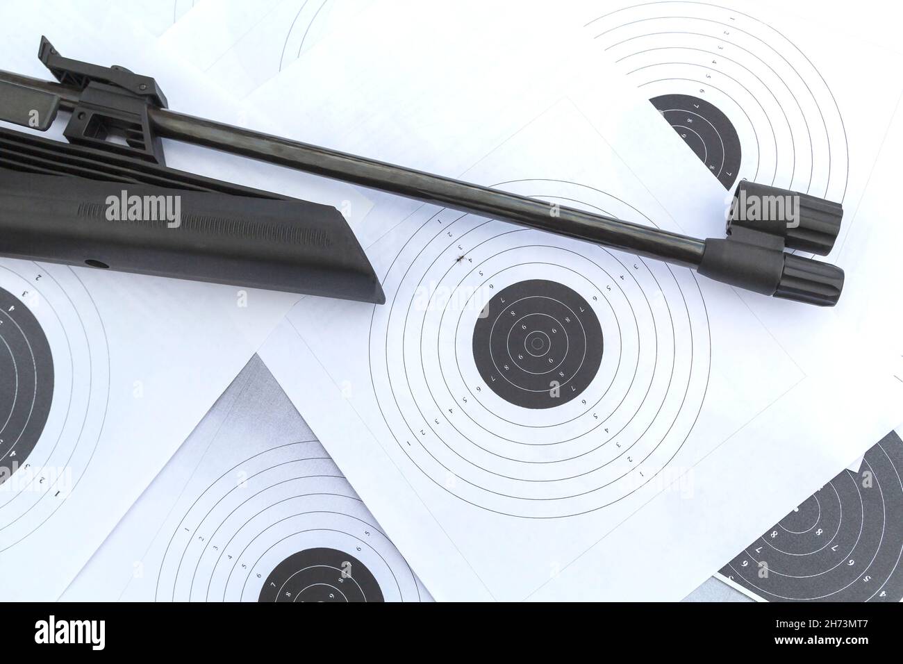 Paper target and lead shot for pneumatic weapons. Shooting accessories ...