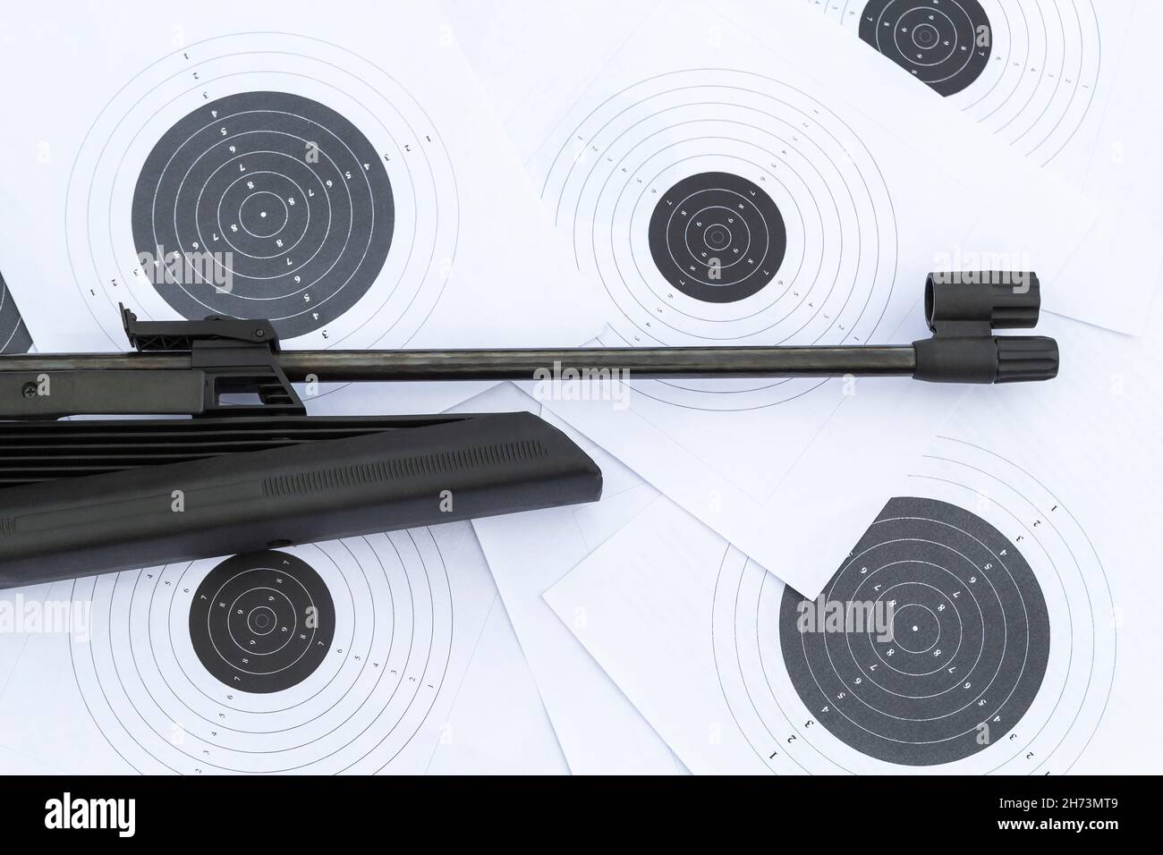 Paper target and lead shot for pneumatic weapons. Shooting accessories ...