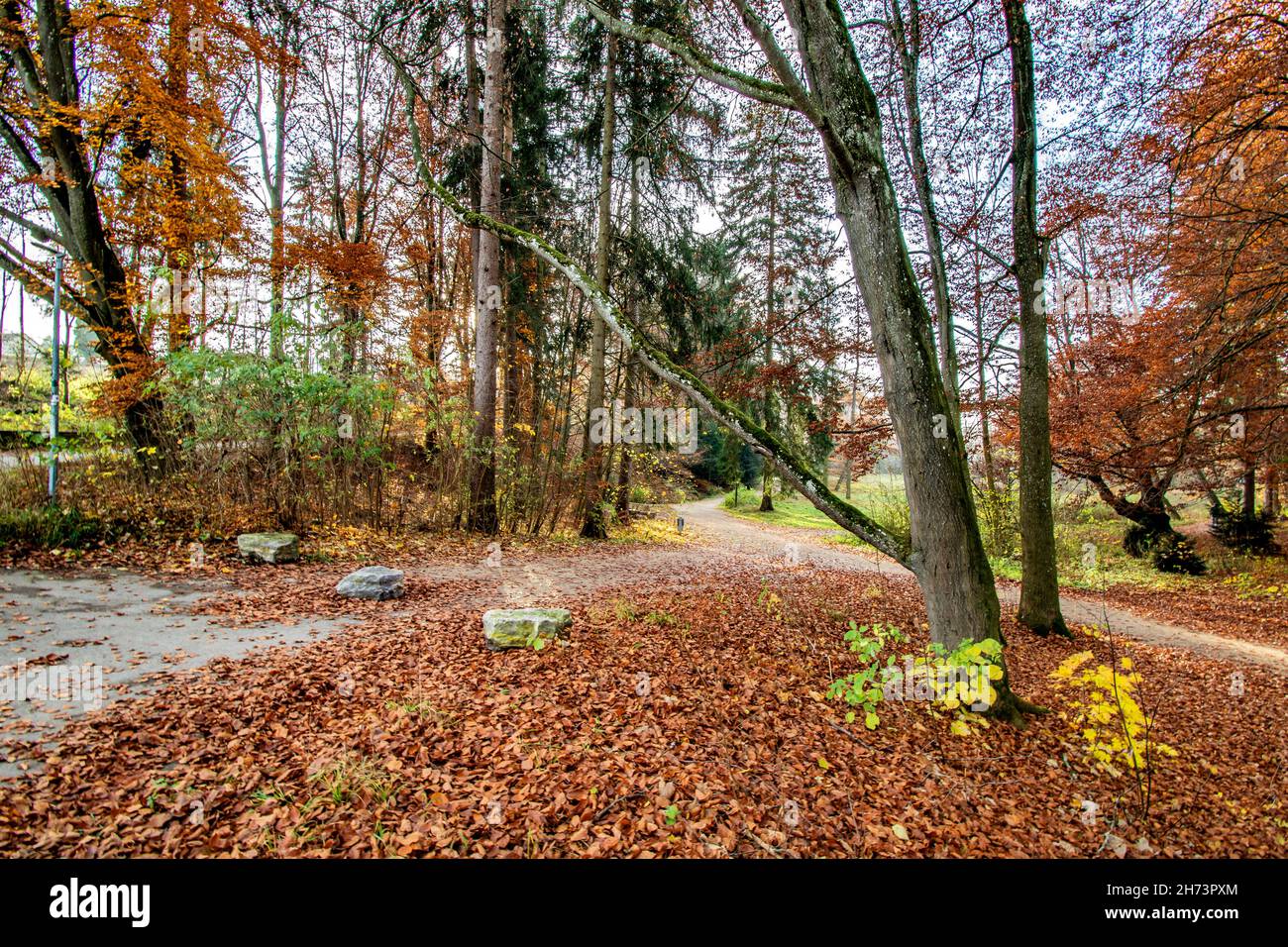 Autumn view hi-res stock photography and images - Alamy